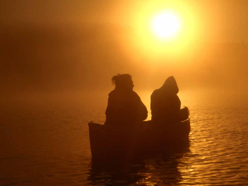 Activities – Algonquin Nature Adventures